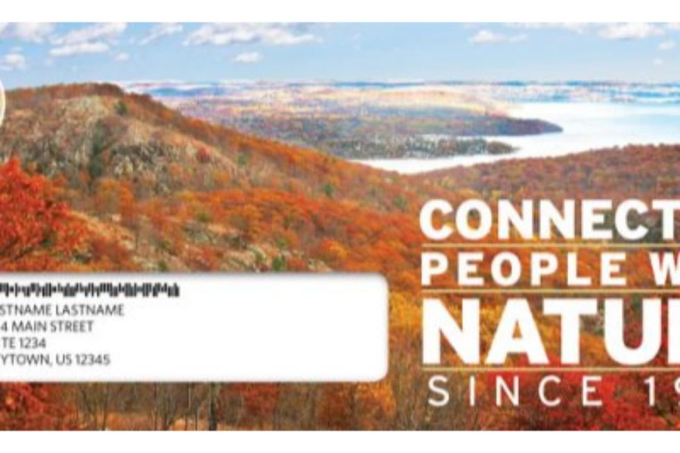 The Mail Moment: Creating Envelopes That Get Opened - Memjet